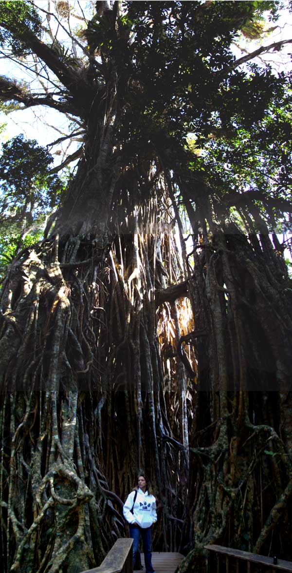 Index of /tourist-information/pictures/